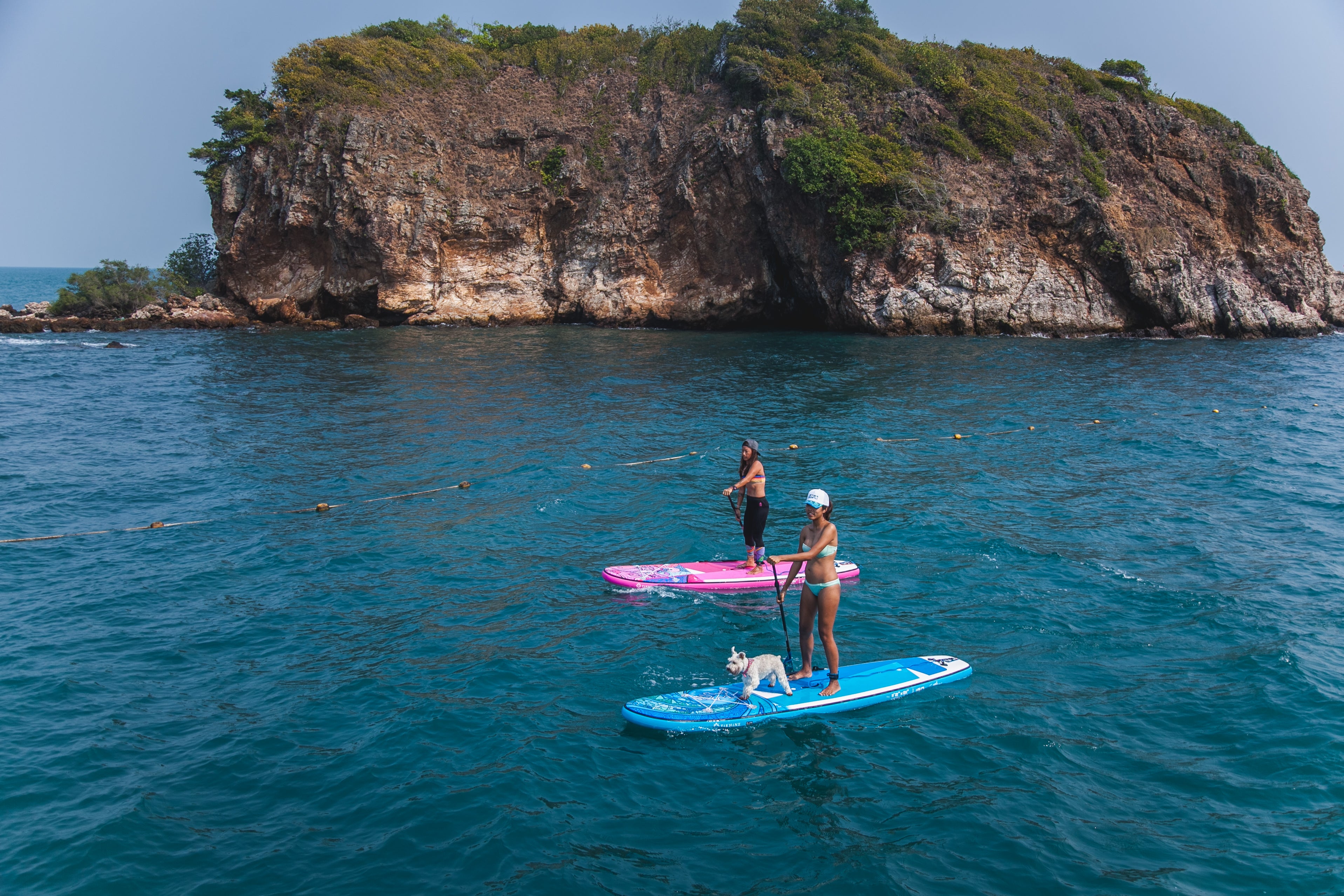 Explore SUP's Top 10 Health Benefits Today! – Starboard North America