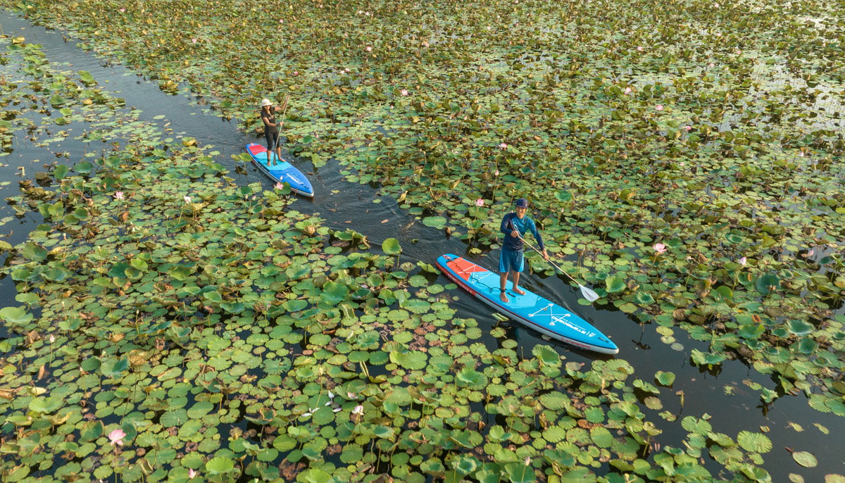 Louisiana’s Best Paddle Boarding: Bayous and Beyond – Starboard North ...