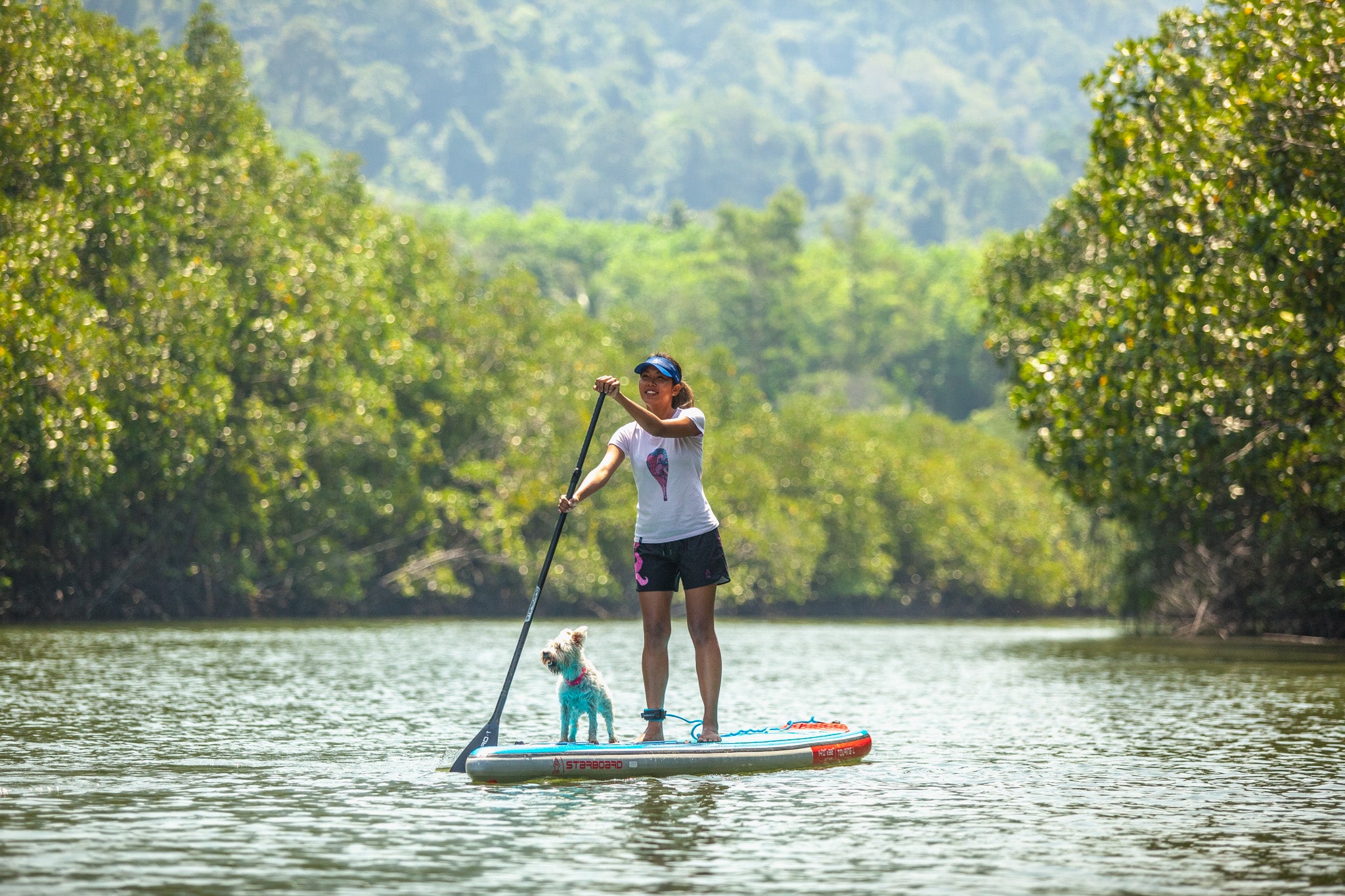 Easy Inflatable SUP Storage Solutions – Starboard North America